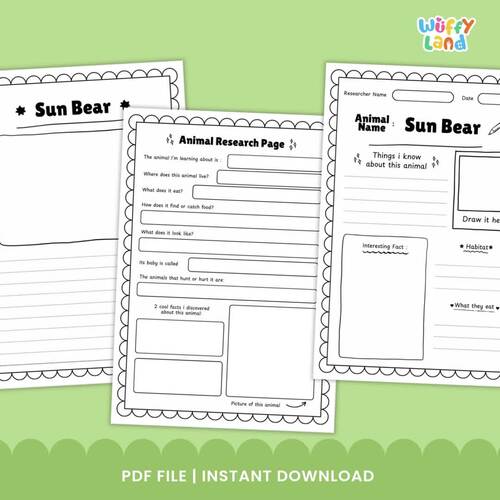 Sun Bear Research Project | Animal Report Writing Real Photo ...