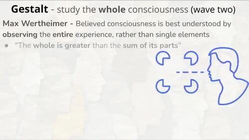 AP Psychology - Unit 1 Lecture Bundle (Scientific Foundations) | TPT