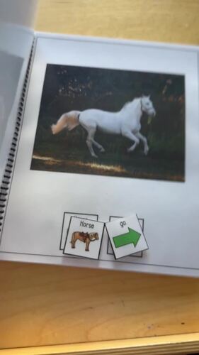 GO Core Words AAC Adapted Book and Letter Formation Special Education ...