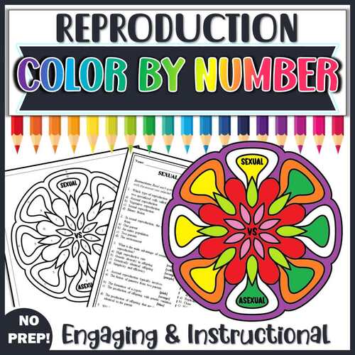 Sexual and Asexual Reproduction Color by Number | Biology Review Activity
