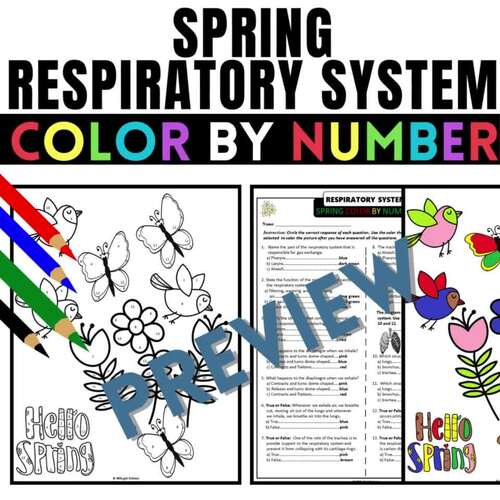 Spring Color By Number Respiratory System Parts and Function Activities ...
