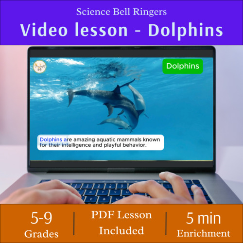 Science bell ringer video (4 min) - Dolphins - Middle school | TPT