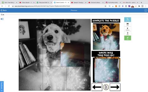 Digital Puzzle Pieces - Moveable Clipart - Christmas Lights - Dog