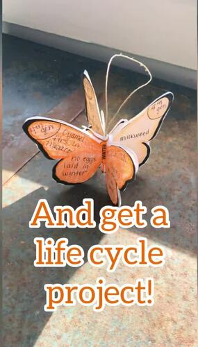 Life Cycle and Migration STEAM/STEM Project for NGSS All About Monarchs