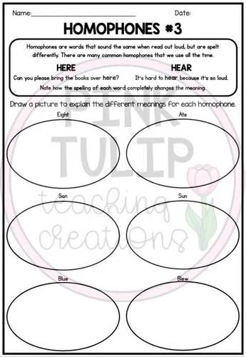 Homophones - Worksheet Pack With Answers by Pink Tulip Teaching Creations