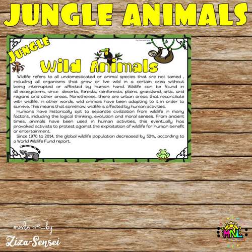 Rainforest Animals Jungle Animals Unit Study And Wild Animals Research Pack