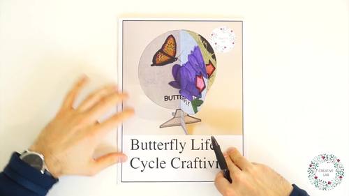 Butterfly Life Cycle - 3D Model Craft Activity - 100% Editable by ...