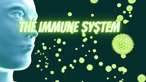 The Immune System Presentation- Canva-27 slides-teacher notes | TpT