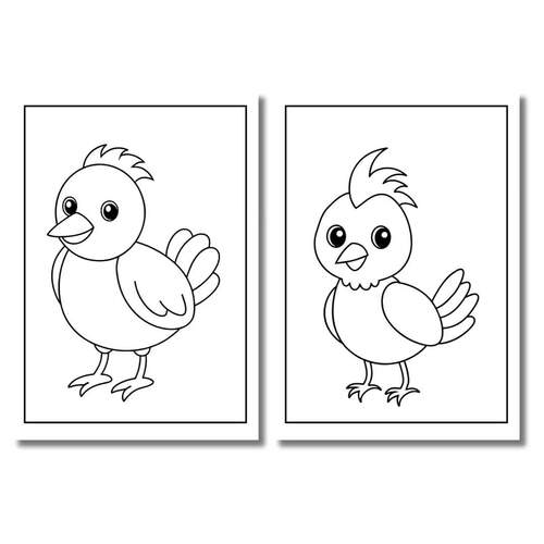 Cute Birds Coloring Pages, Coloring Sheets, Preschool, Worksheets