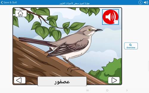 مهارة تمييز سمعي لأصوات الطيور - Skill in auditory discrimination of ...