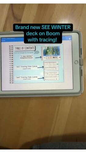 See Winter AAC BOOM CARDS Adapted Book & Tracing Cards Core Word Kit