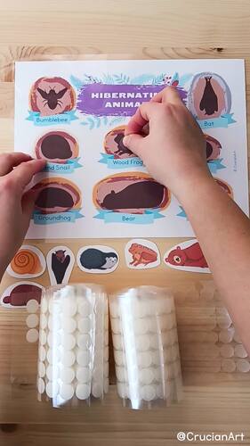 Hibernating Animals Silhouette Matching Activity by Crucian Art | TPT