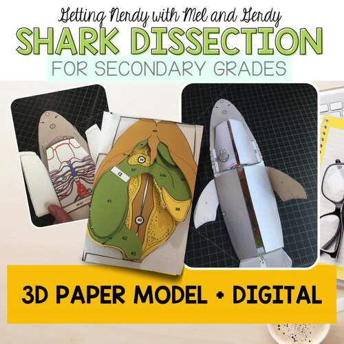 Shark Dissection Zoology | Biology 3-D Anatomy Paper Dissection Model ...