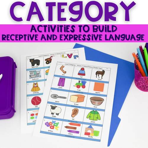 Category Activities To Build Receptive and Expressive Language | TPT