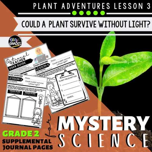 Mystery Science 2nd Grade SUPPLEMENT Plant Adventures Lesson 3 Water ...