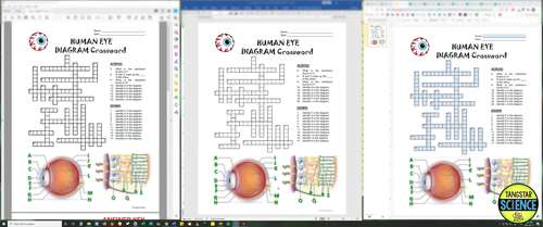 Eye Crossword with Diagram | Editable, Printable & Distance Learning ...