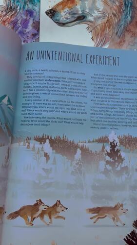 Wolf Art Printable- Literature Based Nature & Science Study by Read the ...