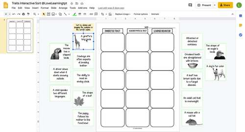 Heredity - Inherited and Acquired Traits Sort Activity Worksheet