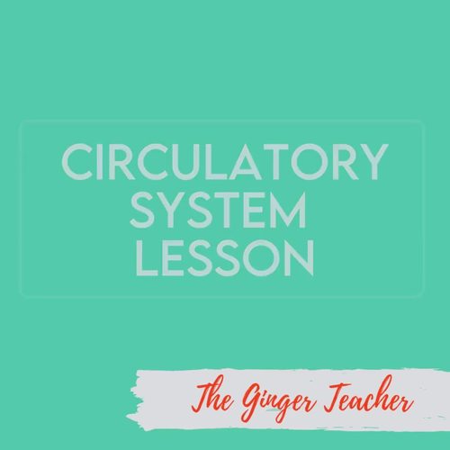 The Circulatory System Lesson by The Ginger Teacher | TPT