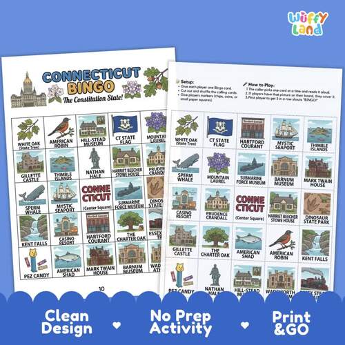 Connecticut State Geography BINGO | CT History Landmarks Symbols Activity