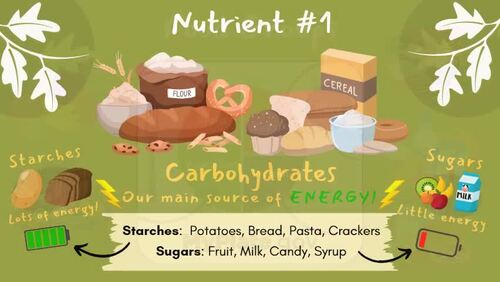 Nutrition Bundle: Food Groups, Nutrients, Fast Food, Soda/Water, Food ...