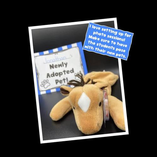 Adopt a Reading Buddy! by Jane's Journey in Primary | TPT