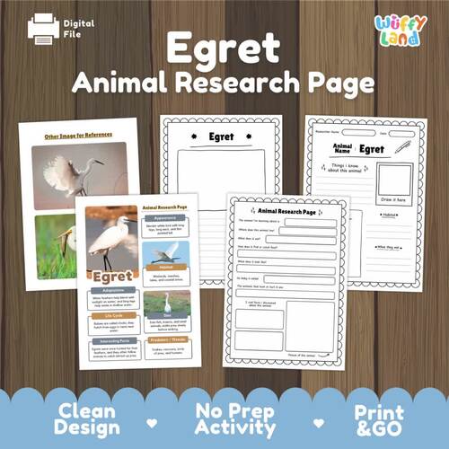 Egret Research Project | Wetland Bird Science Activity | Animal Report ...