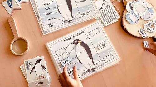 Penguins Unit Study Anatomy & Life Cycle Winter Arctic Homeschool Materials