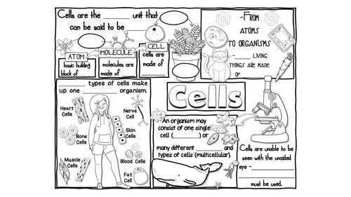 Cells Doodle Notes & Quiz | NGSS Life Science Interactive Notebook Activity