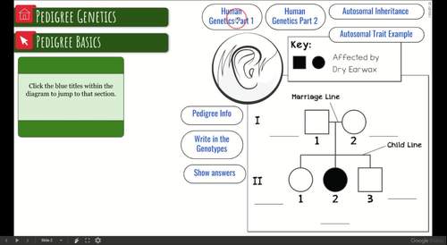 Pedigree Genetics Interactive Diagram by Science With Mrs Lau | TPT