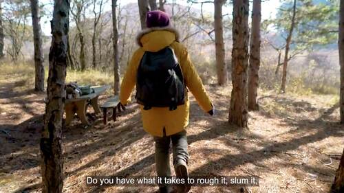 Paired Fiction & Nonfiction Passages Camping Escape Room Webscape 1st Grade