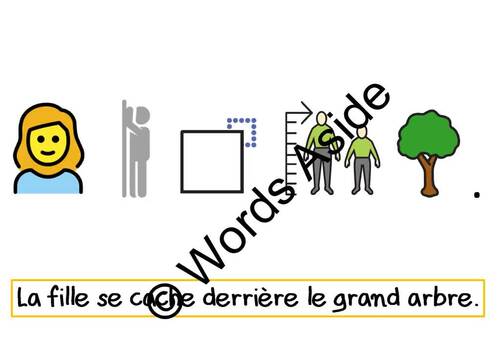 AAC Reading Writing Literacy with Symbols FRENCH by Words Aside | TPT