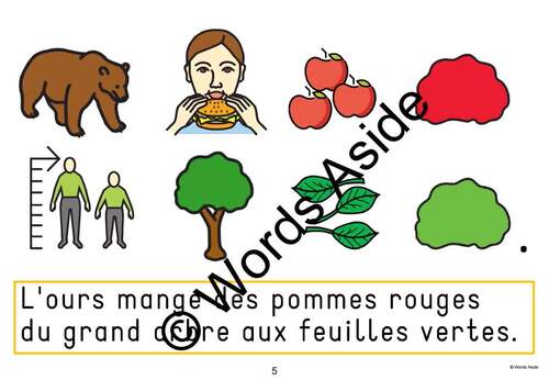 AAC Reading Writing Literacy with Symbols FRENCH by Words Aside | TPT