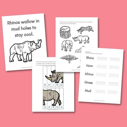 Rhinoceros Lesson with Story Activities and Crafts by More Than Just ...