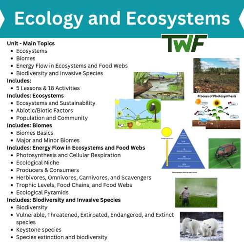 Ecology and Ecosystems Unit | Biomes, Energy Flow, Biodiversity, Food Webs