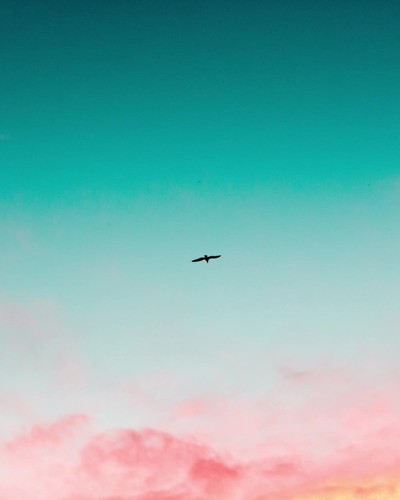 2nd and 3rd Grade Math Practice & Review with Number Talks-Part 1