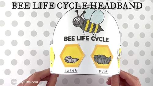 Bee Life Cycle Headband - Spring Bee Craft by Non-Toy Gifts | TPT