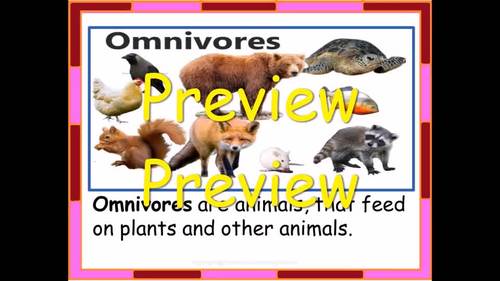 Omnivores-Flash cards Slides, Worksheets - with real images .POWERPOINT