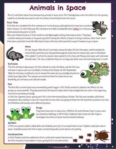 Animals in Space Guided Reading Comprehension Worksheets | TPT