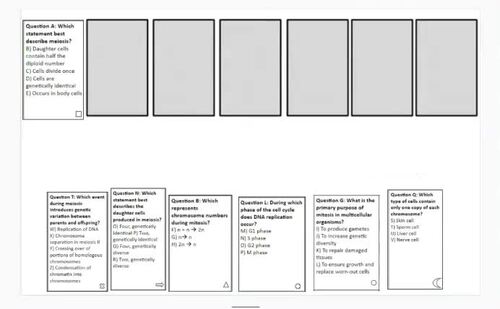 Mitosis Meiosis Review Task Cards- printable and digital versions!!