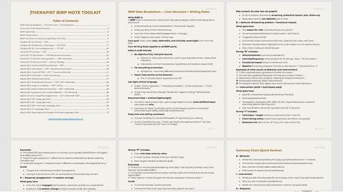Therapist BIRP Notes Toolkit Progress Note Templates + Phrase Bank ...