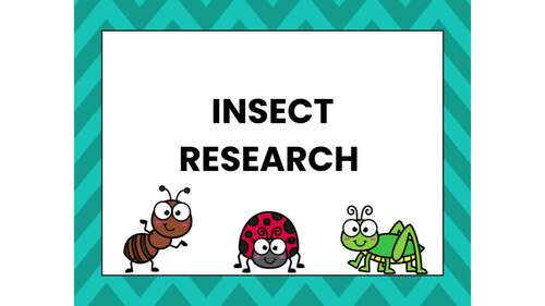 Insect Research, Graphic Organizers, Report Writing Pages, Worksheets