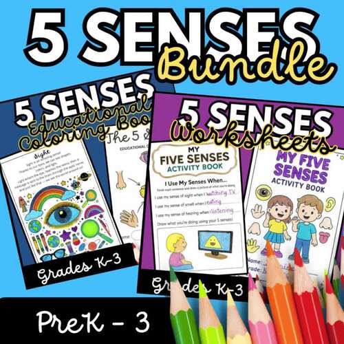 Five Senses Activities Bundle | Worksheets & Graphic Organizer ...