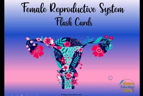 Female Reproductive System Flashcards by Abaco Education Zone | TPT
