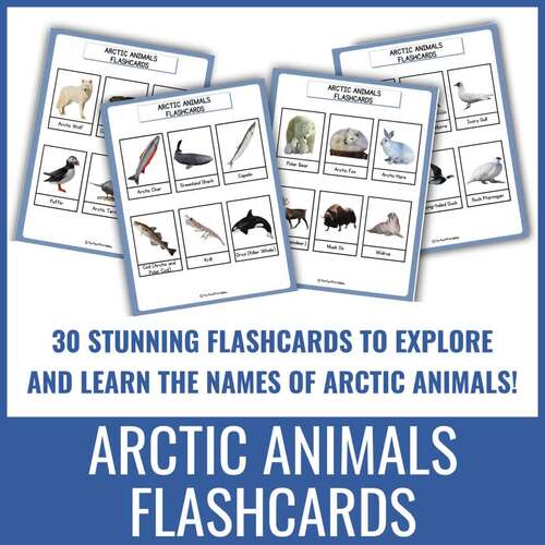 Arctic Animals Flashcards - Winter Polar Animal 3 Parts Montessori Cards