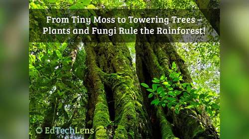 Plant Diversity, Seeds, Flower Parts, and Fungi Unit eBook | TPT