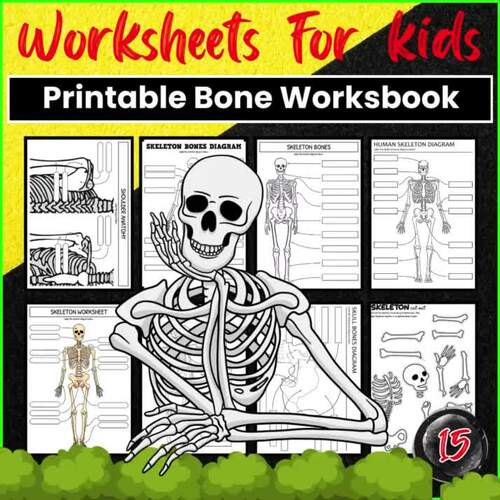 Printable Bone Worksheets by Lib Anatomy school | TPT