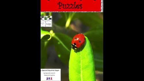 Life Science- Kingdoms of Living Things Puzzles (VAAP 8S-LS3b) | TpT
