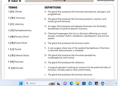 The Endocrine System Psychology Test by Psyched About Social Studies
