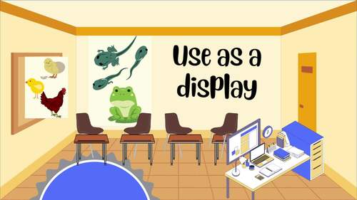 Animal life cycles worksheets, key words, research, group work 3rd ...